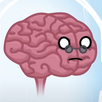 🔥 Brain MBTI | Human Buddy Personality Types