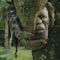 🔥 Hadras MBTI | Pirates of the Caribbean Personality Types