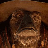 🔥 Wounded Bird MBTI | Rango Personality Types