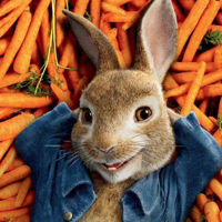 🔥 Peter Rabbit MBTI | Peter Rabbit (franchise) Personality Types