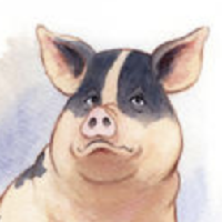 🔥 Snowball MBTI | Animal Farm Personality Types