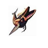 🔥 Emperor/Armageddon Vertus MBTI | Animal Kaiser Personality Types