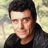 🔥 Lovejoy MBTI | Lovejoy (1986) Personality Types