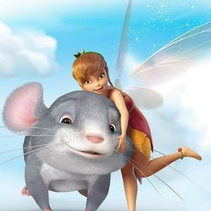 🔥 Animal Talent MBTI | Tinker Bell (2008) Personality Types