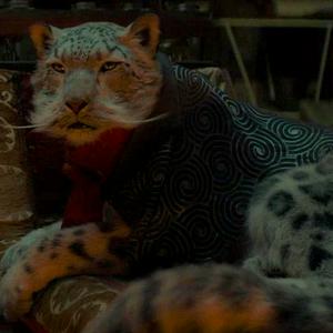 🔥 Snow Leopard MBTI | Wicked (2024) Personality Types