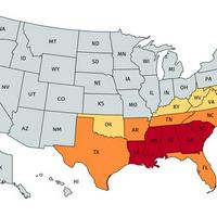 🔥 If Southern has a personality type...