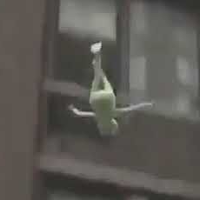 🔥 If Kermit Falling has a personality type...