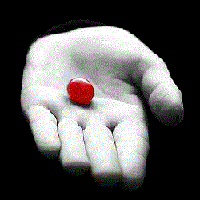 🔥 If Take the Red Pill has a personality type...