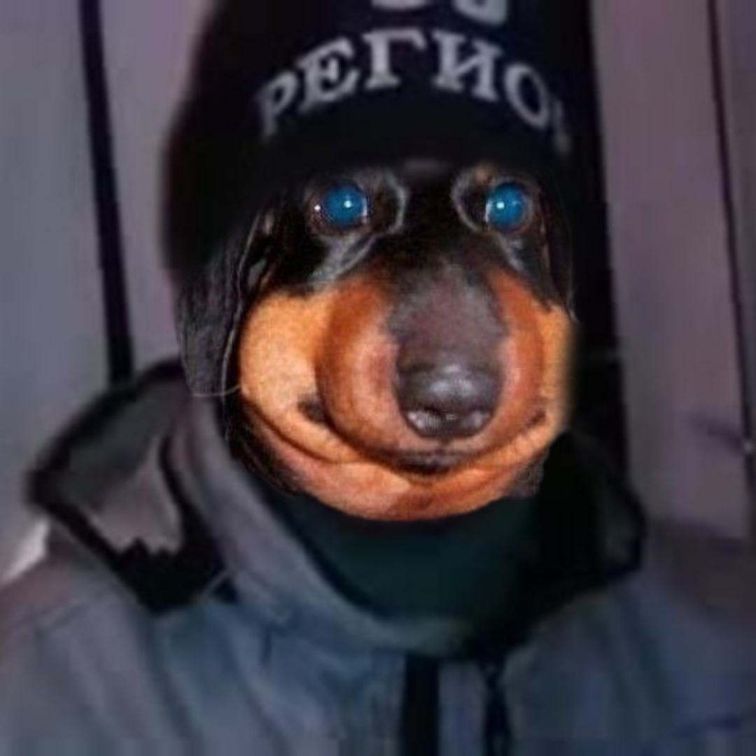 What do you think Dawg's personality is?