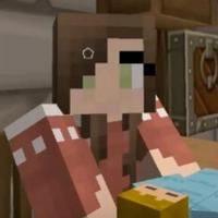 🔥 Donna MBTI | Minecraft Diaries Personality Types