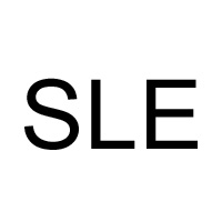🔥 If SLE has a personality type...