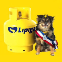 🔥 If Spike (Lipigas) has a personality type...