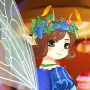 🔥 Weil MBTI | Flower Angel（小花仙） Personality Types
