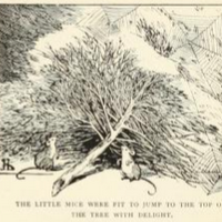 🔥 The Fir Tree MBTI Personality Types