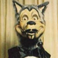 🔥 The Wolfman MBTI | The Rock-afire Explosion Personality Types