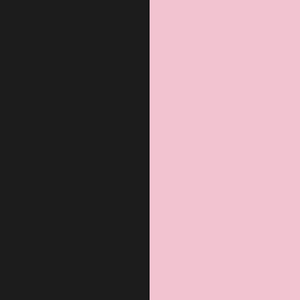 🔥 If Black & Pink has a personality type...