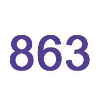 🔥 If 863 has a personality type...