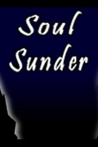 🔥 Soul Sunder MBTI Personality Types