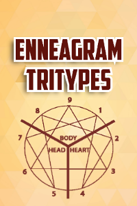 🔥 If Enneagram Tritypes has a personality type...