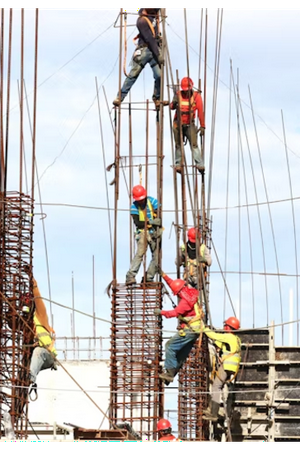 🔥 Business Leaders in Construction MBTI Personality Types