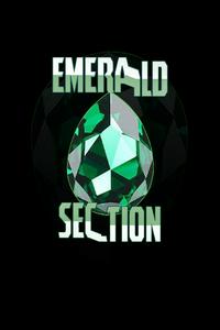 🔥 Emerald Section MBTI Personality Types