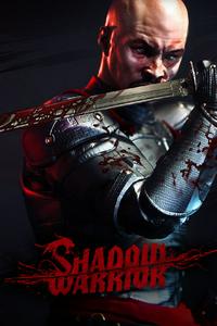 🔥 Shadow Warrior MBTI Personality Types