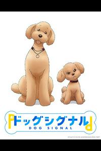 🔥 Dog Signal MBTI Personality Types