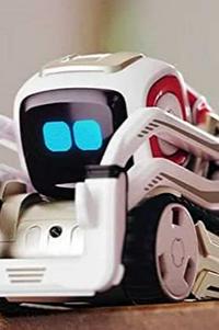 🔥 Companion Robots MBTI Personality Types