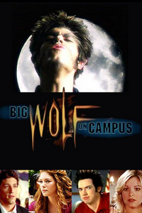 🔥 Big Wolf on Campus MBTI Personality Types