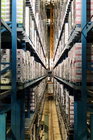 🔥 Business Leaders in Logistics MBTI Personality Types