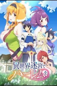 🔥 Isekai Meikyuu de Harem wo/Harem in the Labyrinth MBTI Personality Types