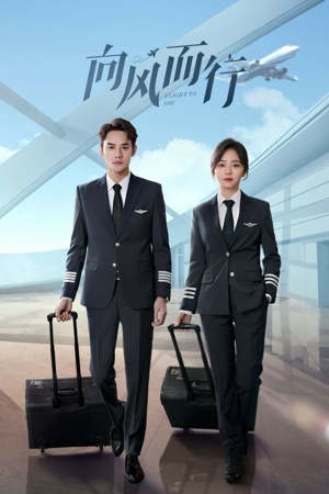 🔥 Flight To You 向风而行 MBTI Personality Types