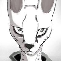 Tonking | Personality Database